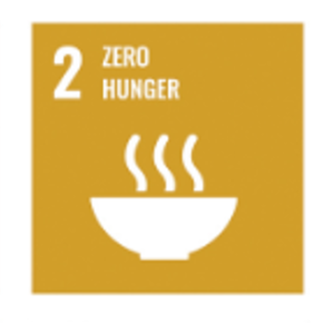 Pelan Struktur Kuala Lumpur 2040 – PPKL2040